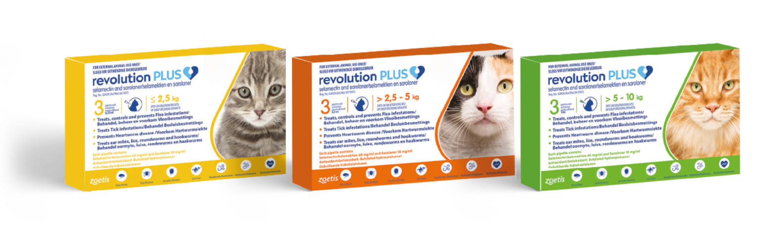 Revolution Plus
